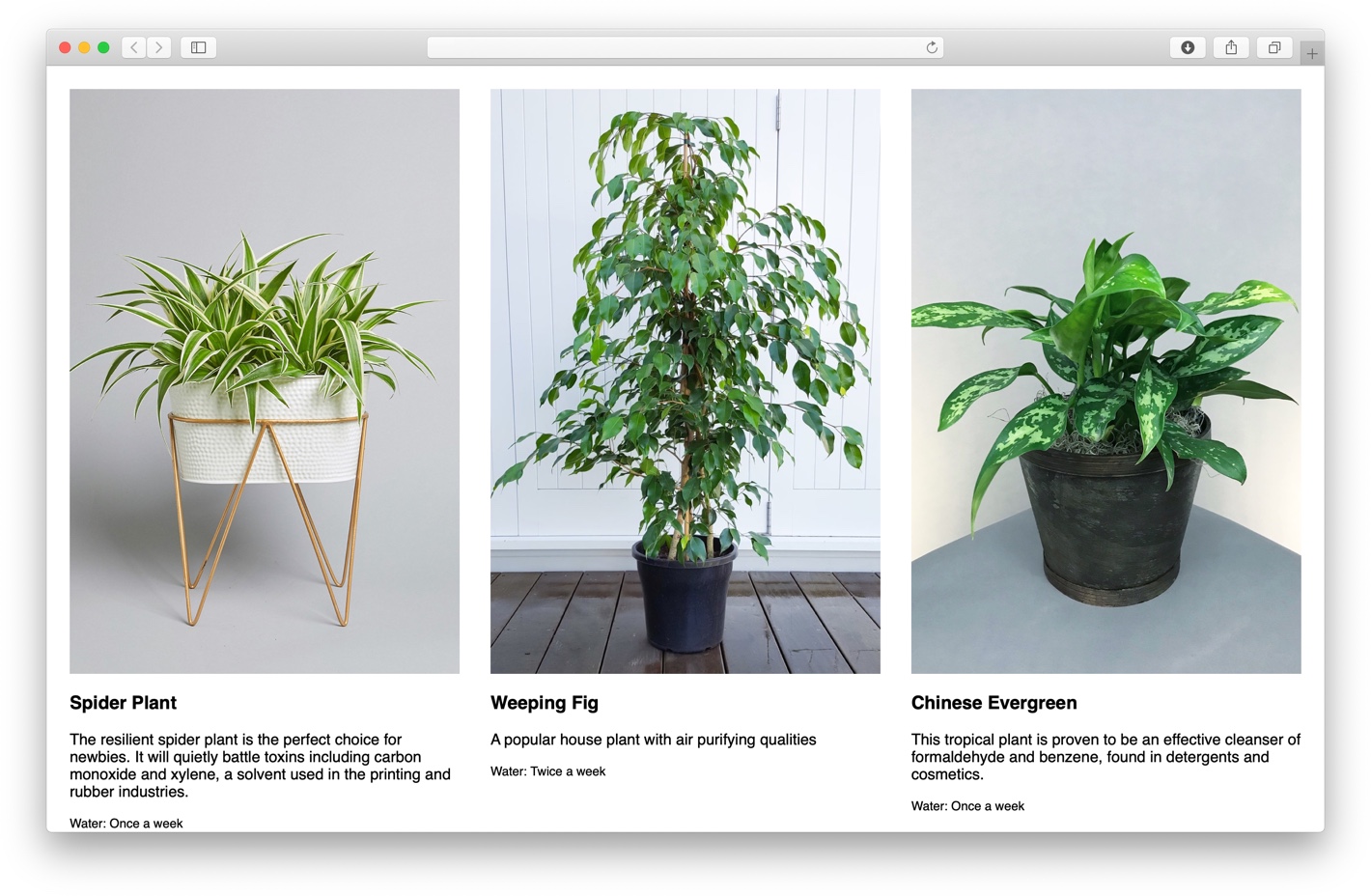 Sheety - Turn your Google Sheet into an API